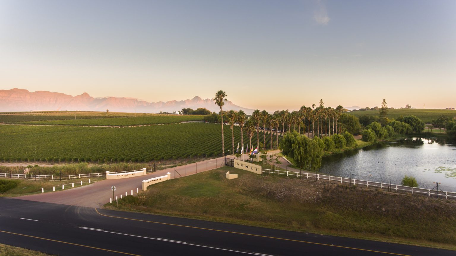 Venue Overview – Skilpadvlei Wine Farm